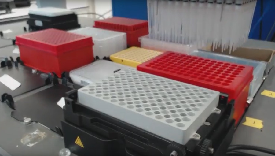 From the NYU Langone Medical Center's Genome Foundry - The Center of ...